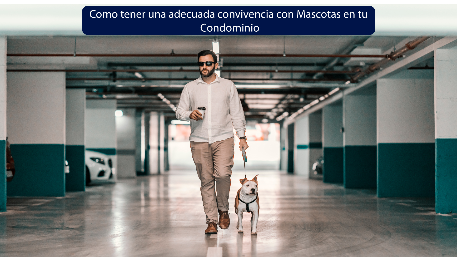 Como tener una adecuada convivencia con Mascotas en tu Condominio - Administración de Condominios
